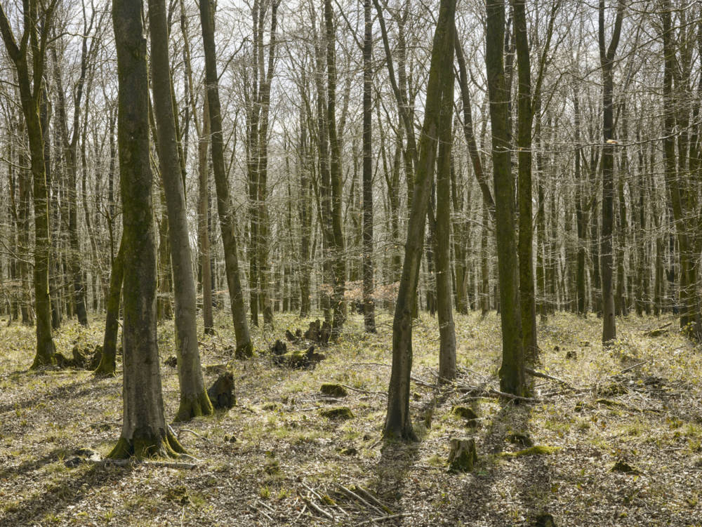 Simon Roberts: Inscapes